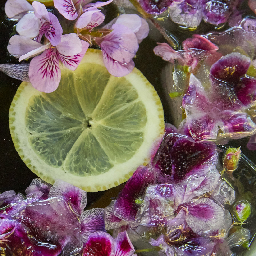 Fresh/Green (clean, herbal, aquatic) – GARDEN ALCHEMY